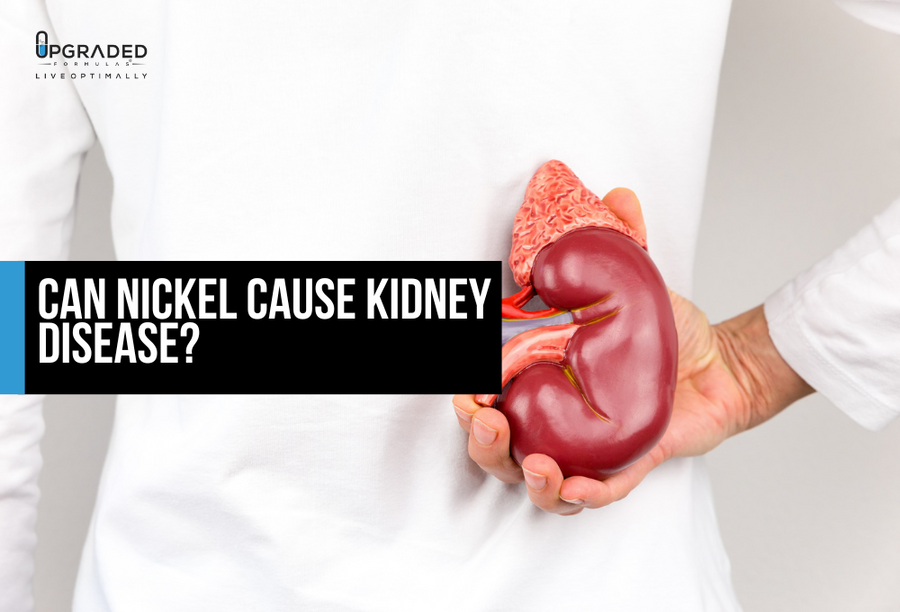 Can Nickel Cause Kidney Disease? - Upgraded Formulas®