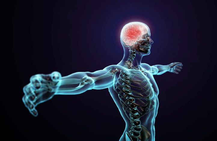 Calcium And The Nervous System - Upgraded Formulas®