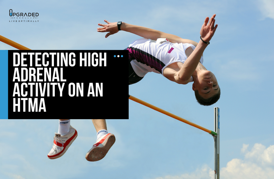 High Adrenal Activity On An HTMA - Upgraded Formulas®