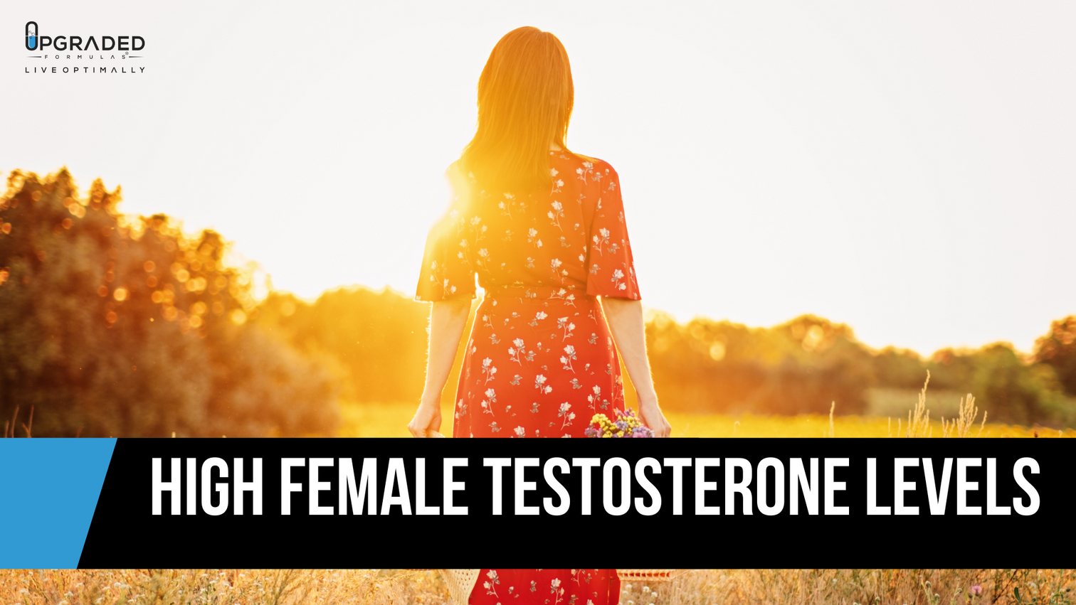 High Female Testosterone Levels - Upgraded Formulas®
