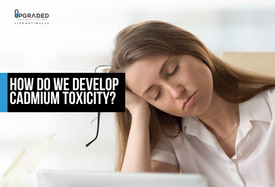 How Do We Develop Cadmium Toxicity? - Upgraded Formulas®
