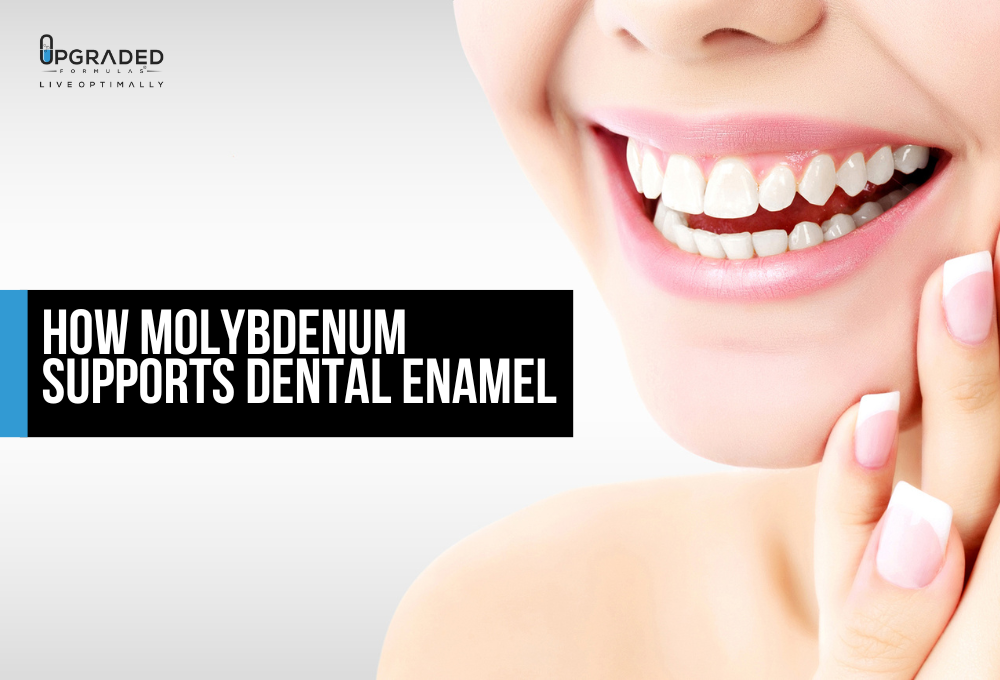 How Molybdenum Supports Dental Enamel - Upgraded Formulas®