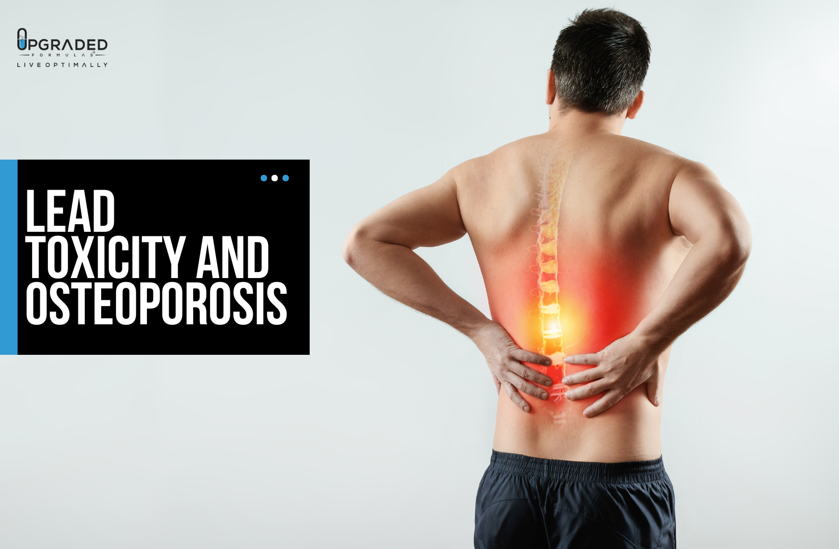 Lead Toxicity and Osteoporosis - Upgraded Formulas®