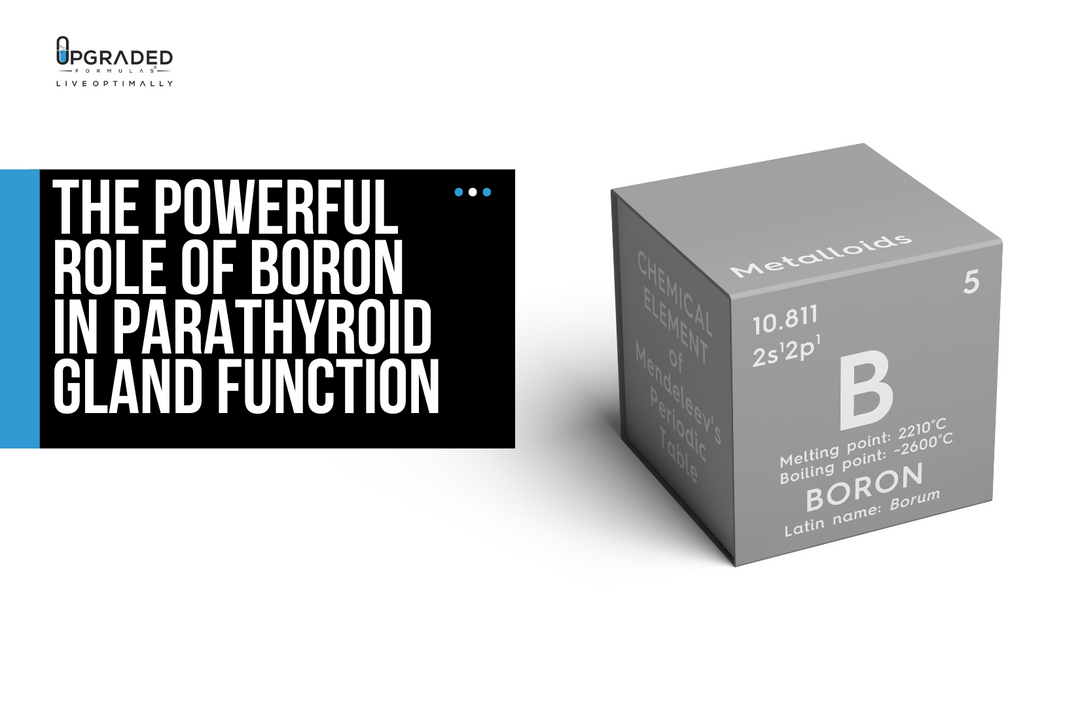 Boron in Parathyroid Gland Function - Upgraded Formulas®