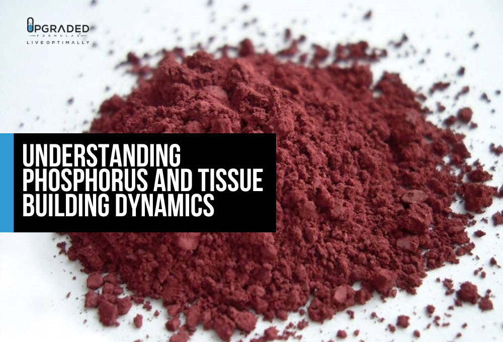 Understanding Phosphorus and Tissue Building Dynamics - Upgraded Formulas®