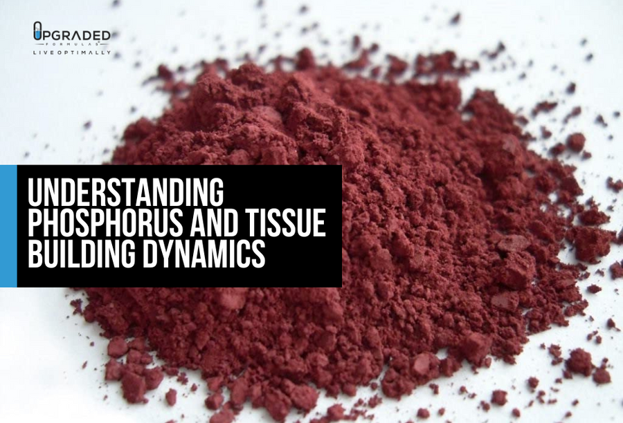 Understanding Phosphorus and Tissue Building Dynamics - Upgraded Formulas®