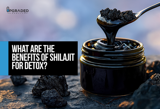 What Are The Benefits Of Shilajit For Detox? - Upgraded Formulas®