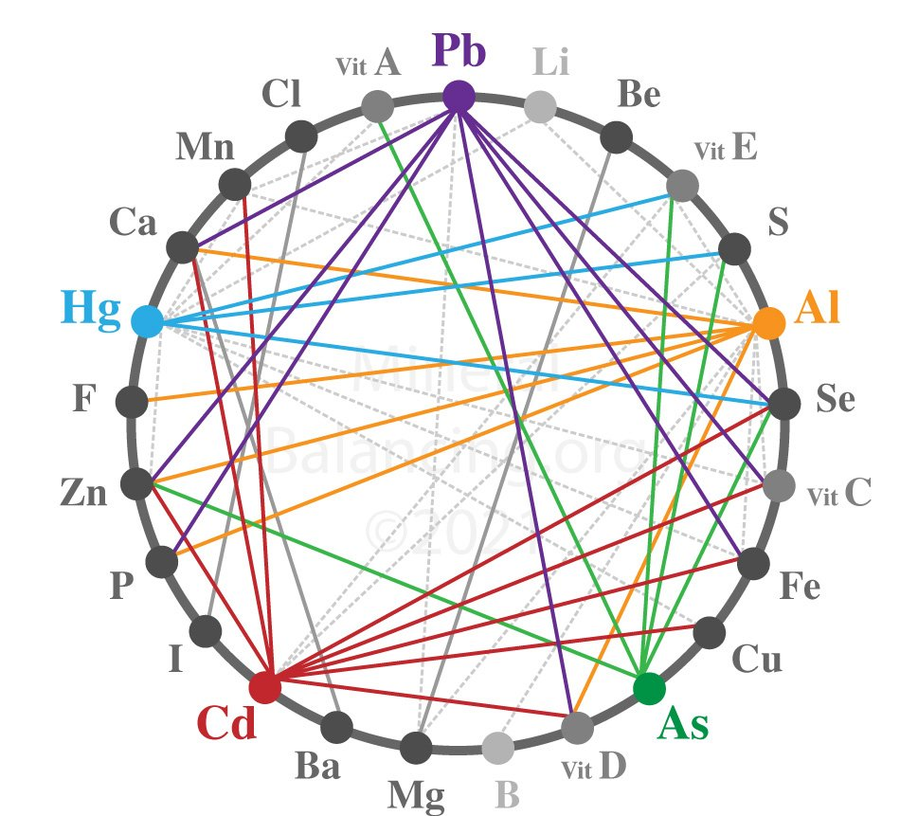 An Introduction To Ionic Mimicry - Upgraded Formulas®