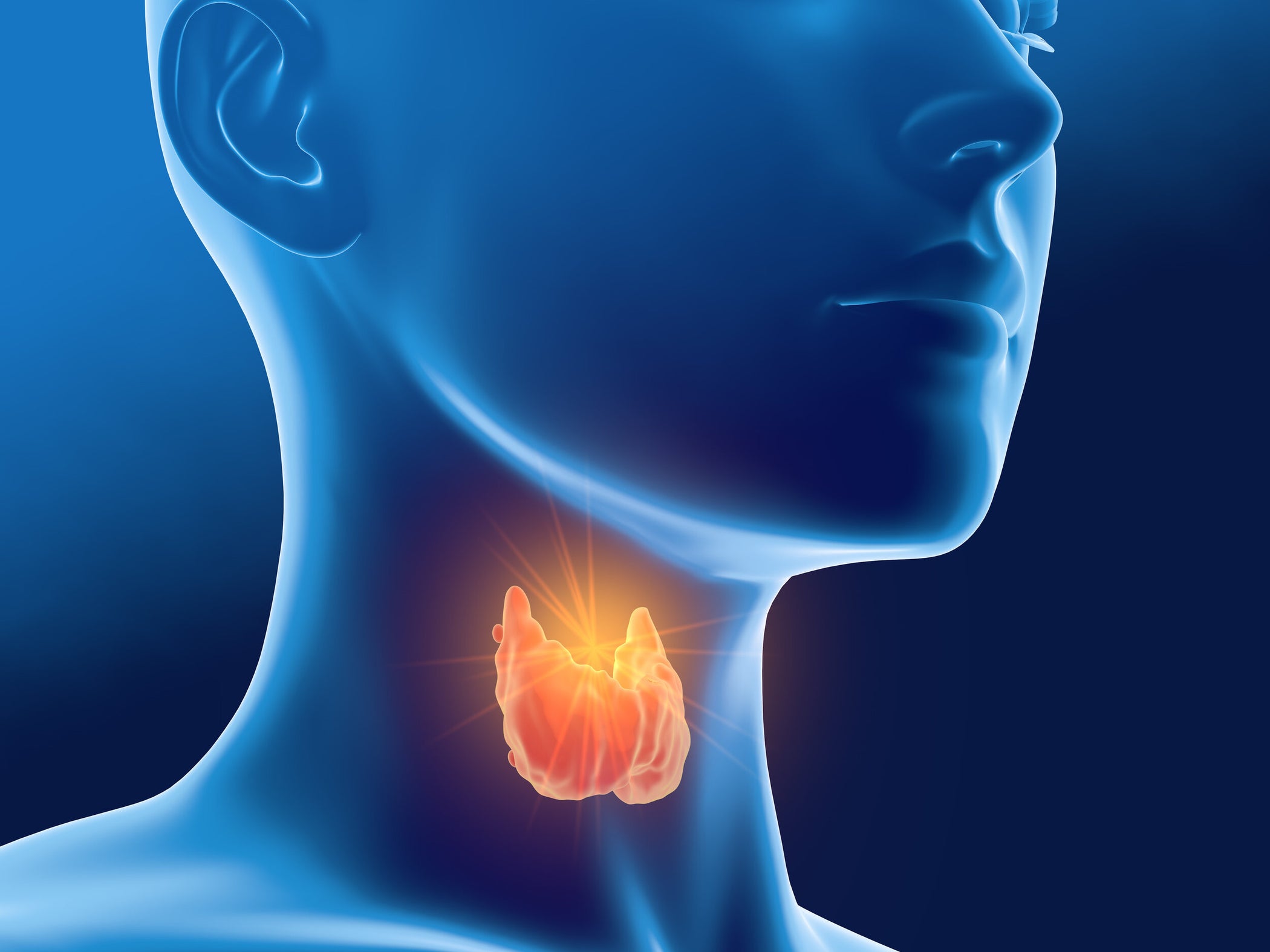 Manganese And Thyroid Function - Upgraded Formulas®